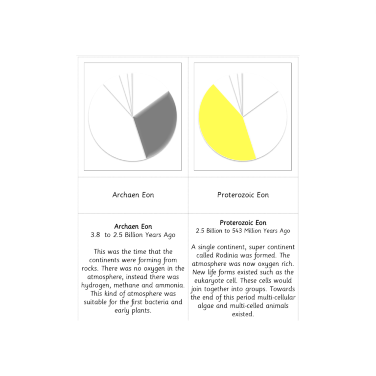 Montessori Clock of Eras Chart and Nomenclature Cards – Rumi Montessori