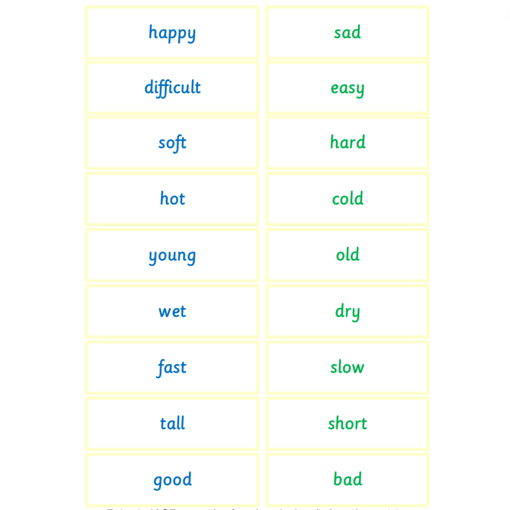 Montessori Antonym Words Card Set – Rumi Montessori