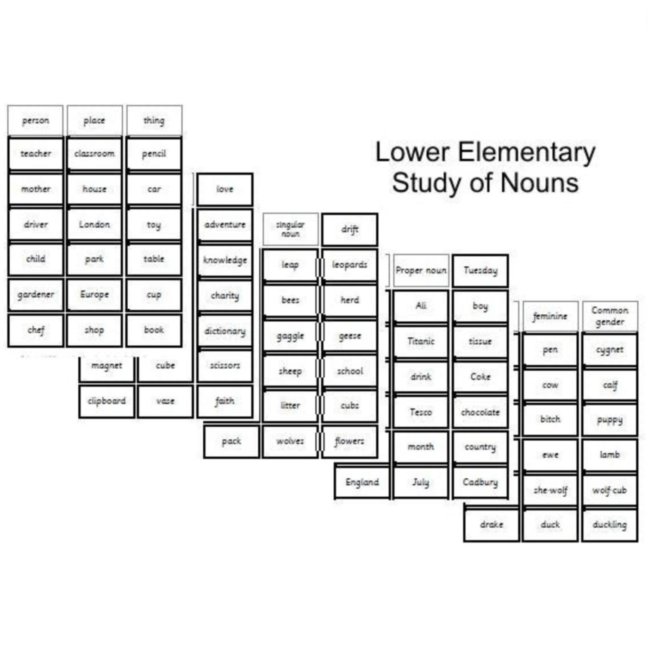 Lower Elementary Study of Nouns Complete set – Rumi Montessori